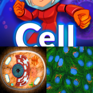 Lesson: Parts of the Cell - Free Educational Games - Legends of Learning