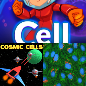 Practice: Cell Organelles Review - Free Games and Assessments - Legends ...