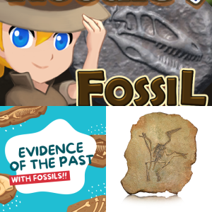 Game Based Learning: Fossil Evidence 3.4c - Free Games and Videos ...