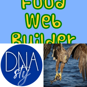 Free Homework Prep: Food Webs 4.9B - Free Games and Assessments ...