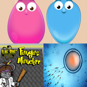Lesson: Sexual Reproduction and Genetic Variation 7.14B - Free Games ...