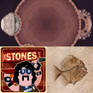 Free Lesson: Rock Cycle and the Fossil Record E.8.7.2 - Free Games and ...