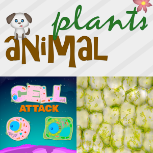 Student Lesson: Parts of the Cell - Plants vs. Animals MS-LS1.A-2b ...