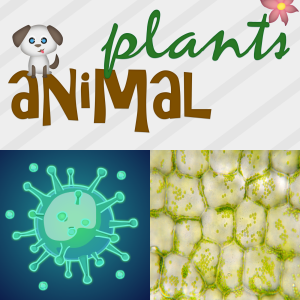 Student Lesson: Parts of the Cell - Plants vs Animals MS.LS1A.b-2 ...