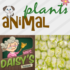 Lesson: Parts of the Cell - Plants vs. Animals MS-LS1.A-2b - Free Games ...