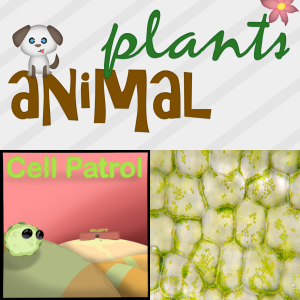 For Class: Plant vs. Animal Cells SC.6.L.14.4 - Free Educational Games ...