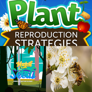 Practice: Plant Reproduction Strategies MS-LS1.B-2 - Free Educational ...