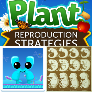 Free Homework Prep: Ancestry of Organisms 8.LS.2 - Free Educational ...