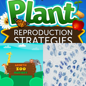 Free Educational Games: Asexual and Sexual Reproduction L.8.2A.5 - Free ...
