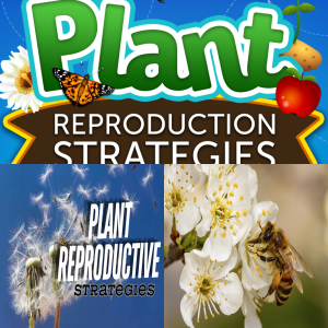 Student Lesson: Plant Reproductive Strategies - Free Games, Assessments ...