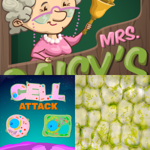 Practice: Plant and Animal Cells LS.2c - Free Games and Assessments ...