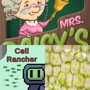 Lesson: LoL Cells Practice - Free Educational Games - Legends of Learning