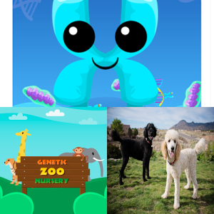 Free Lesson: Inheritance of Traits LS.12d - Free Educational Games ...