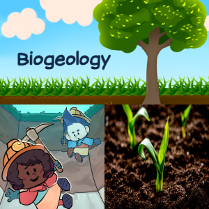 Teaching Plan: Properties of Soil 4.7A - Free Games and Assessments ...