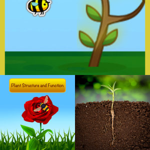 Game Based Learning: Plant Structure and Function ES-LS1.A-1a - Free ...