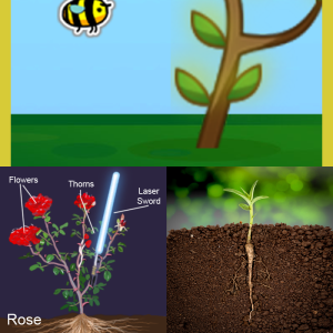 Teaching Plan: Plant Structures and their Function SC.3.L.14.1 - Free ...