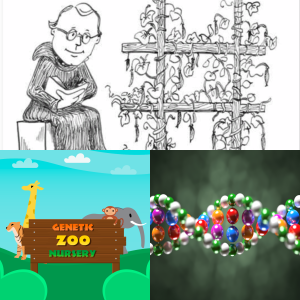 Worksheet: Genes and Heredity SC.7.L.16.1 - Free Games and Assessments ...