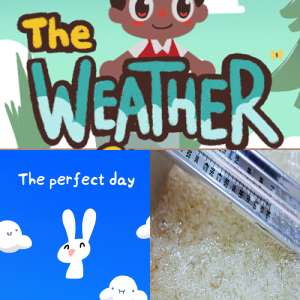 Worksheet: Graph Weather Information to Identify Patterns in Data 2.8A ...