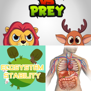 Worksheet: Processes Within Organisms and Energy 5.LS.2 - Free Games ...