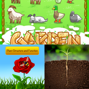 Lesson: Plant Structures and their Function SC.3.L.14.1 - Free Games ...