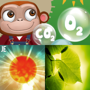 For Class: Photosynthesis MS-LS1.C-1 - Free Games and Assessments ...