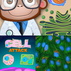 Game Based Learning: Cells Homework - Free Games and Assessments ...