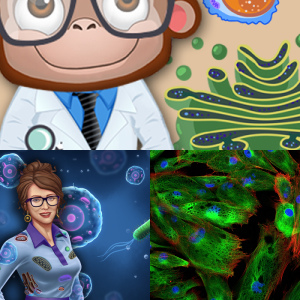 For Class: Cell Theory Practice - Free Games and Assessments - Legends ...