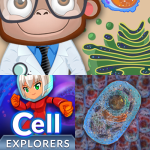 For Class: Prokaryotic and Eukaryotic Cells 6.12B - Free Educational ...