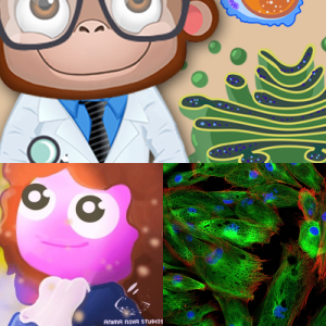 Practice: Cell Theory SC.6.L.14.2 - Free Games and Assessments ...