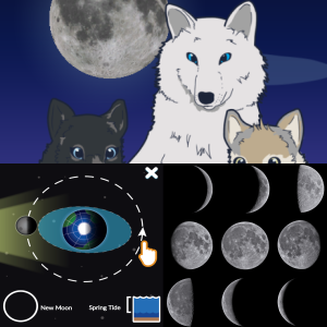 Free Educational Games: Phases of the Moon - Free Games and Assessments ...