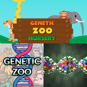 Practice: DNA, Genes, Cell Division and Inheritance - Free Games and ...