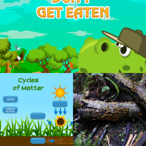 For Class: Cycles of Matter and Energy Transfer in Ecosystems ES-LS2.B ...