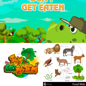 Free Educational Games: Carbon Cycle - Ecosystem Review - Free Games ...