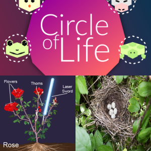 For Class: Life Cycles of Plants and Animals 3.10b Assignment - Free ...