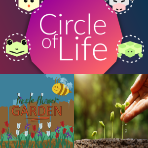 Student Lesson: Life Cycles of Living Organisms 4.10C - Free Games and ...