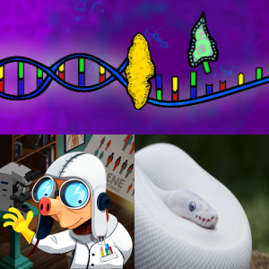 Game Based Learning: Gene Mutations MS-LS3.B-2 - Free Games and ...