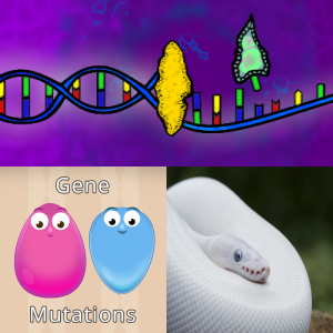 Game Based Learning: Gene Mutations MS-LS3.B-2 - Free Games and ...