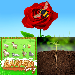Lesson: Plant Structures and their Function SC.3.L.14.1 - Free Games ...