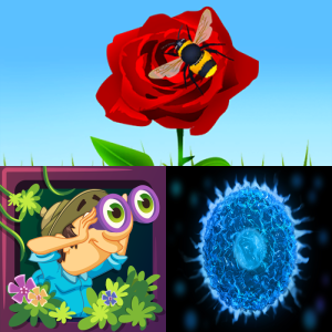 Practice: Survival of Singular vs Multicellular Organisms 5.L.1.1 ...