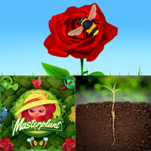 Free Homework Prep: Plant Structure and Function ES-LS1.A-1a - Free ...