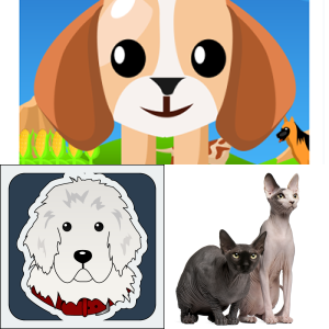 Free Lesson: Artificial Selection via Selective Breeding MS-LS4.B-2 ...