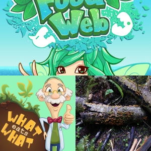 Free Educational Games: Energy Flows Through A Carbon Cycle 8.3.3 ...