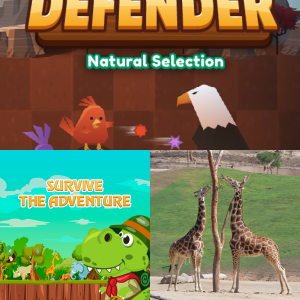 Student Lesson: Natural Selection MS-LS4.B-1 - Free Educational Games ...