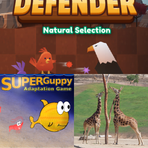 Teaching Plan: Natural Selection MS-LS4.B-1 - Free Games and ...