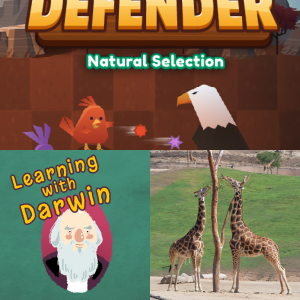 Student Lesson: Natural Selection MS-LS4.B-1 Assignment - Free Games ...