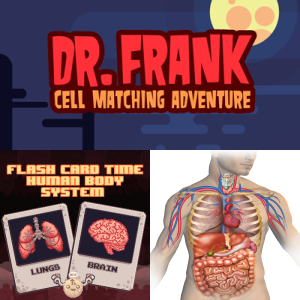 Practice: 13. Investigation: Testing Medicines: A Clinical Trial - Free ...