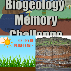Student Lesson: Formation of Sedimentary Rocks and Fossil Fuels 5.7a ...