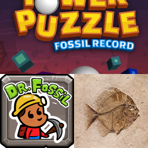 Game Based Learning: Fossil Record MS-ESS1.C-1a - Free Games and ...