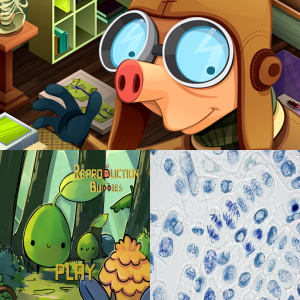 Game Based Learning: Reproduction and Gene Transfer MS-LS1.B-4 - Free ...