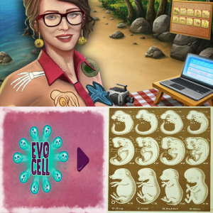 Student Lesson: Embryological Evidence for Common Ancestry MS-LS4.A-3 ...